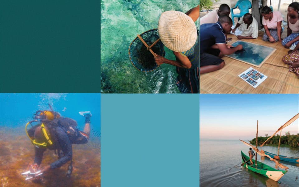 The Global Ocean Accounts Partnership