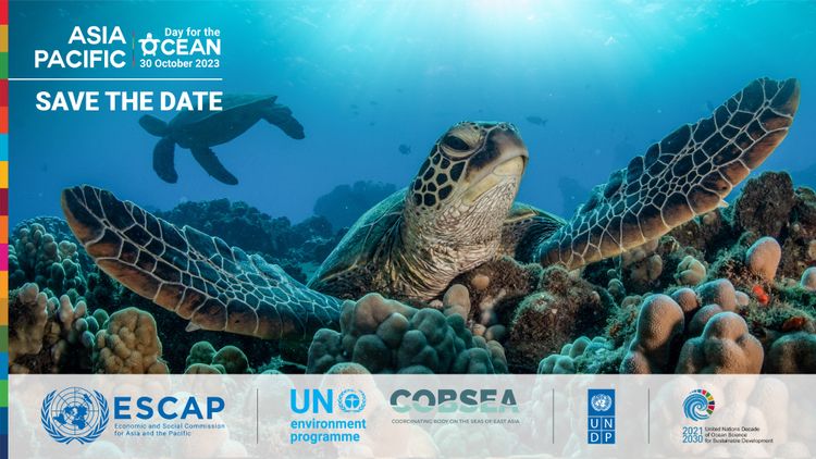 The Global Ocean Accounts Partnership