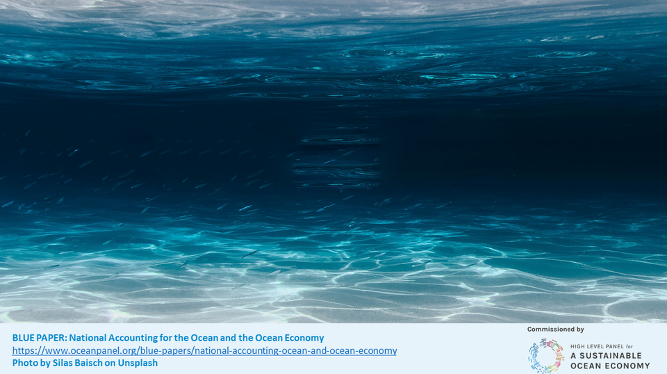 The Global Ocean Accounts Partnership
